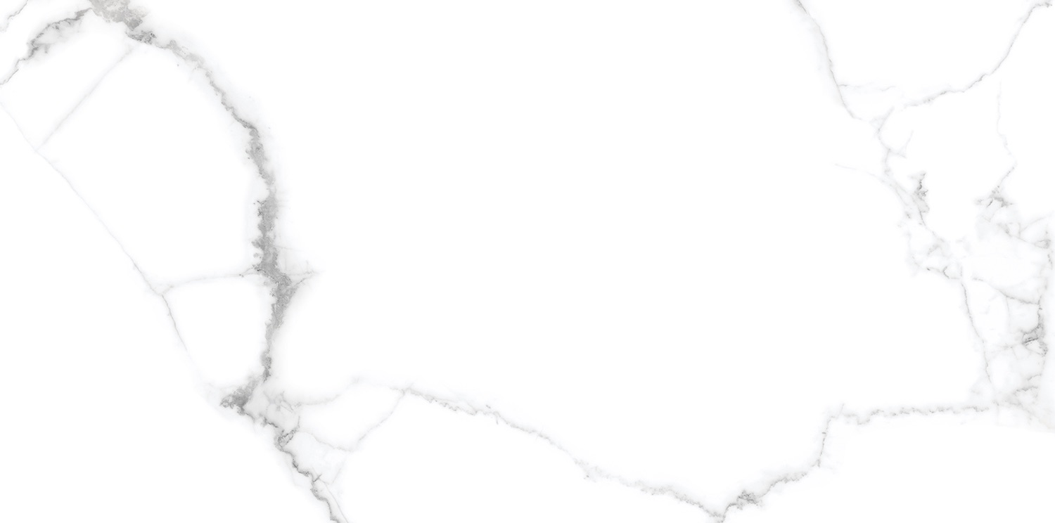 Mont Surfaces Collection | Porcelain Slab Surfaces | Countertops & Walls