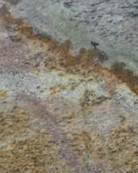 Mont Surfaces Collection | Granite Kitchen Countertops
